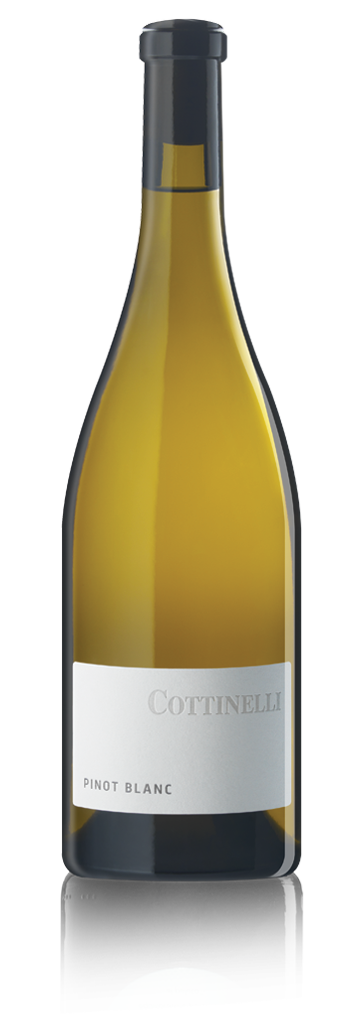 Pinot Blanc Malans, AOC Graubünden | Cottinelli